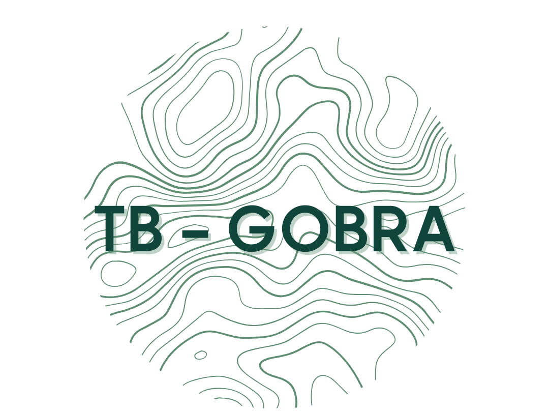 TB-Gobra - University of Lapland